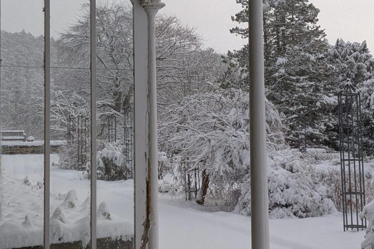 Snow in Northumberland: 16 stunning wintry pictures from across the county