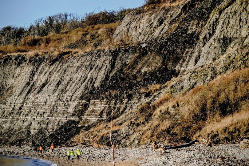 Beach area closed off after landslip