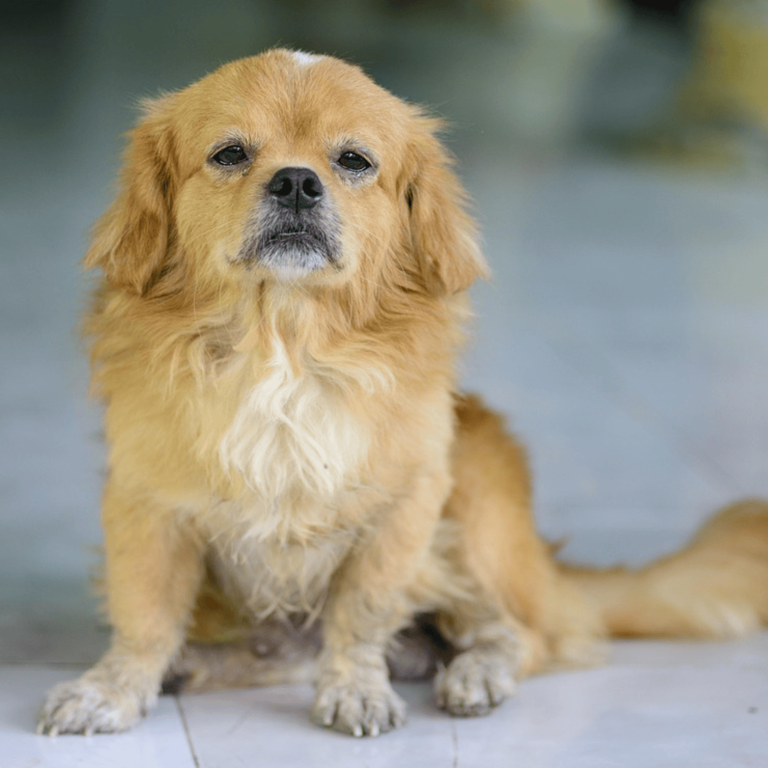 Normal habits for you, but that your dog really hates