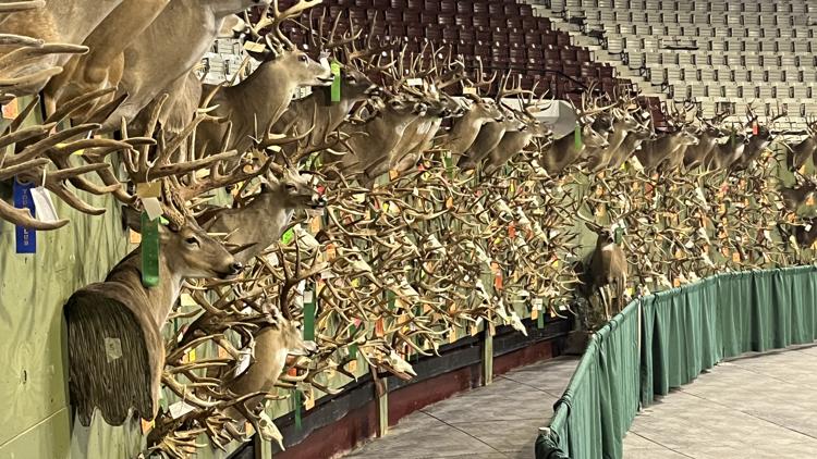 Arkansas Big Buck Classic returns for 36th year