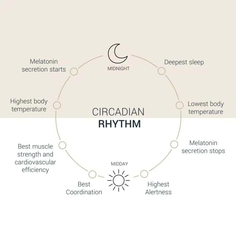 What it really means to wake up at the same time every night ...