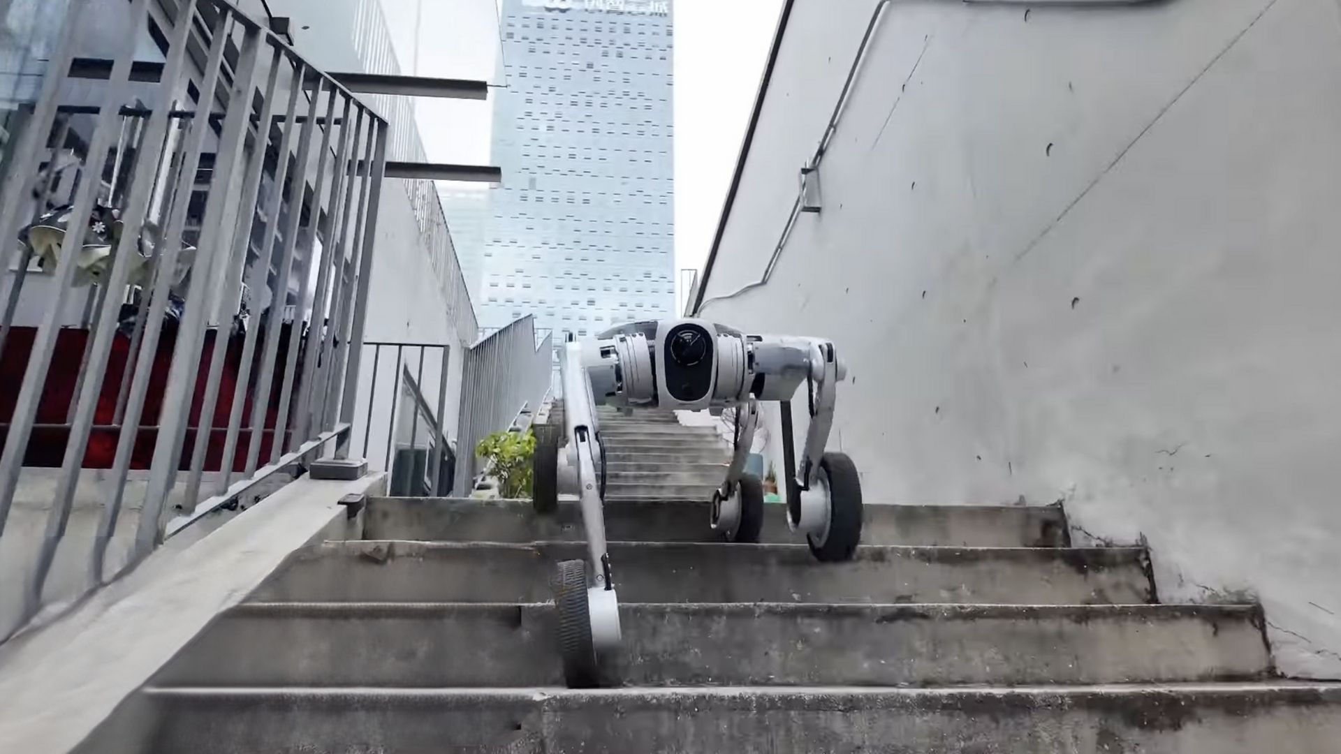 Watch: China’s new hybrid robot dog sprints up stairs at five feet per ...