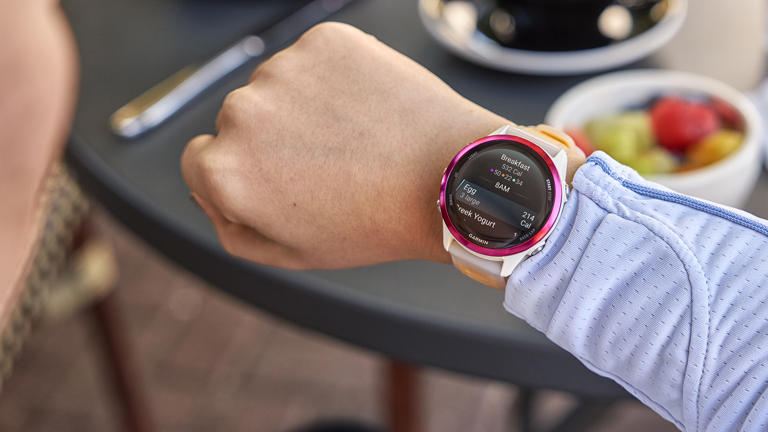 Garmin just built its own version of MyFitnessPal inside Garmin Connect ...