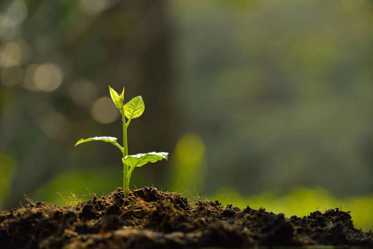 Reasons to care about climate change, how to take action in 2026