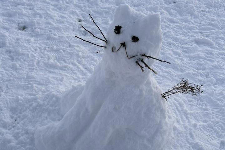 Reader photos: 19 stunning pictures of Scarborough blanketed in ...