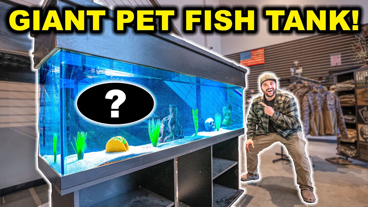 Facebook Marketplace giant fish tank fail? (Buying sight unseen)