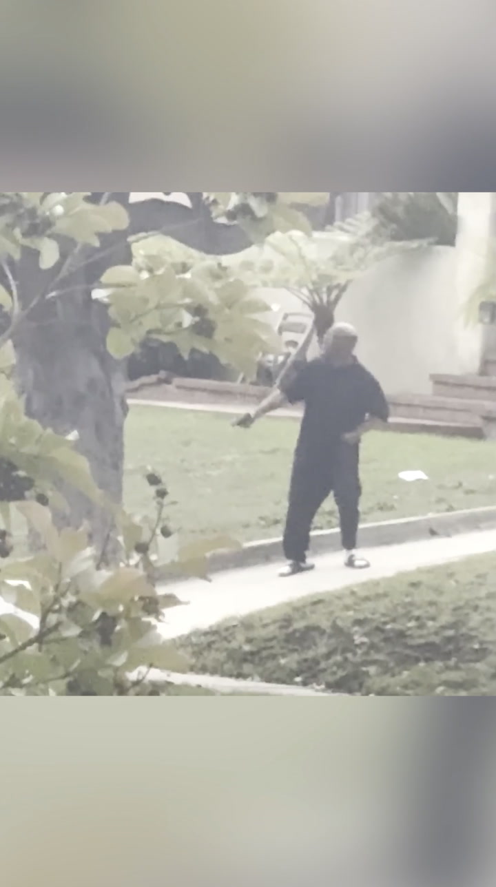 Heroic Los Angeles police dog takes down crazed gunman after wild 4 ...