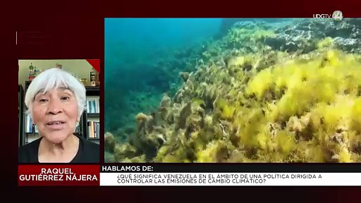 Qué significa Venezuela frente a la política climática? | Raquel ...