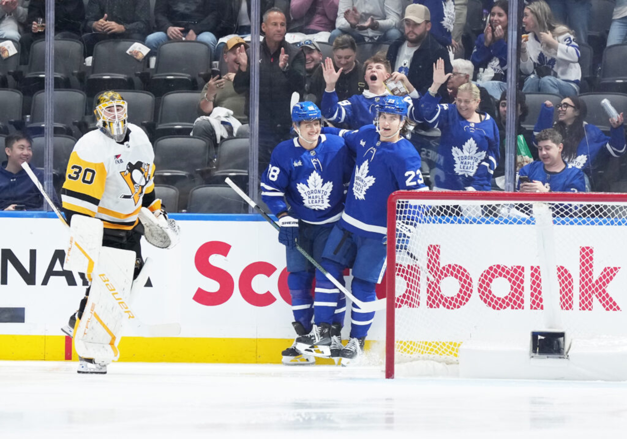 Toronto Maple Leafs star placed on IR