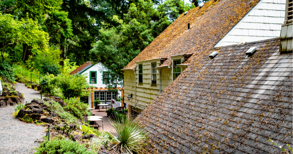 15 enchanting places in the US straight out of a Hallmark movie