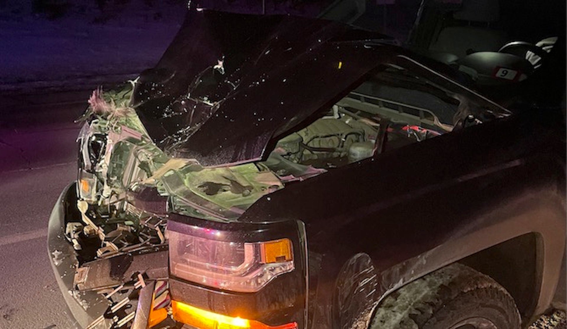 A Chevy Silverado hit a moose in NH The truck was totaled, and the ...
