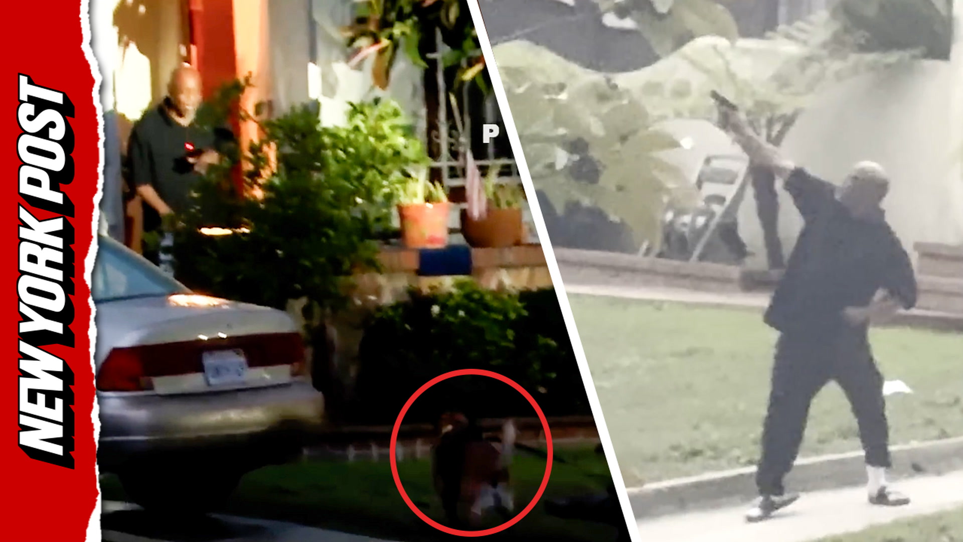 Heroic Los Angeles police dog takes down crazed gunman after wild 4 ...