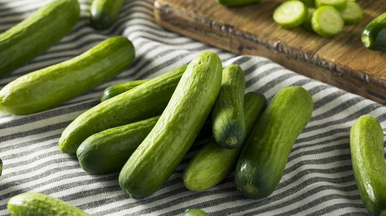 Yes, you can grow cucumbers indoors — here's how