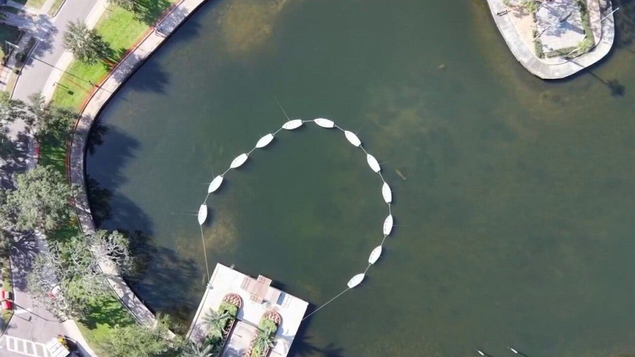 Countdown continues to Epiphany Cross Dive
