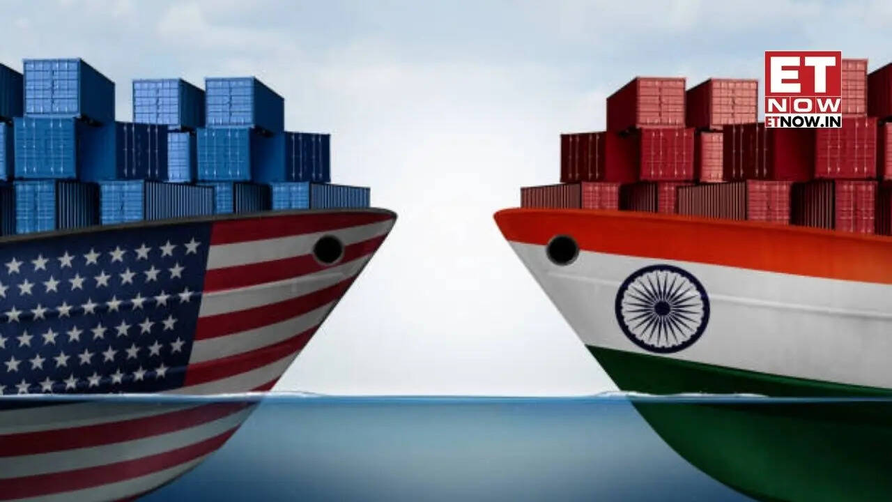 US tariff hike: How much it may impact Indian exports? Experts view