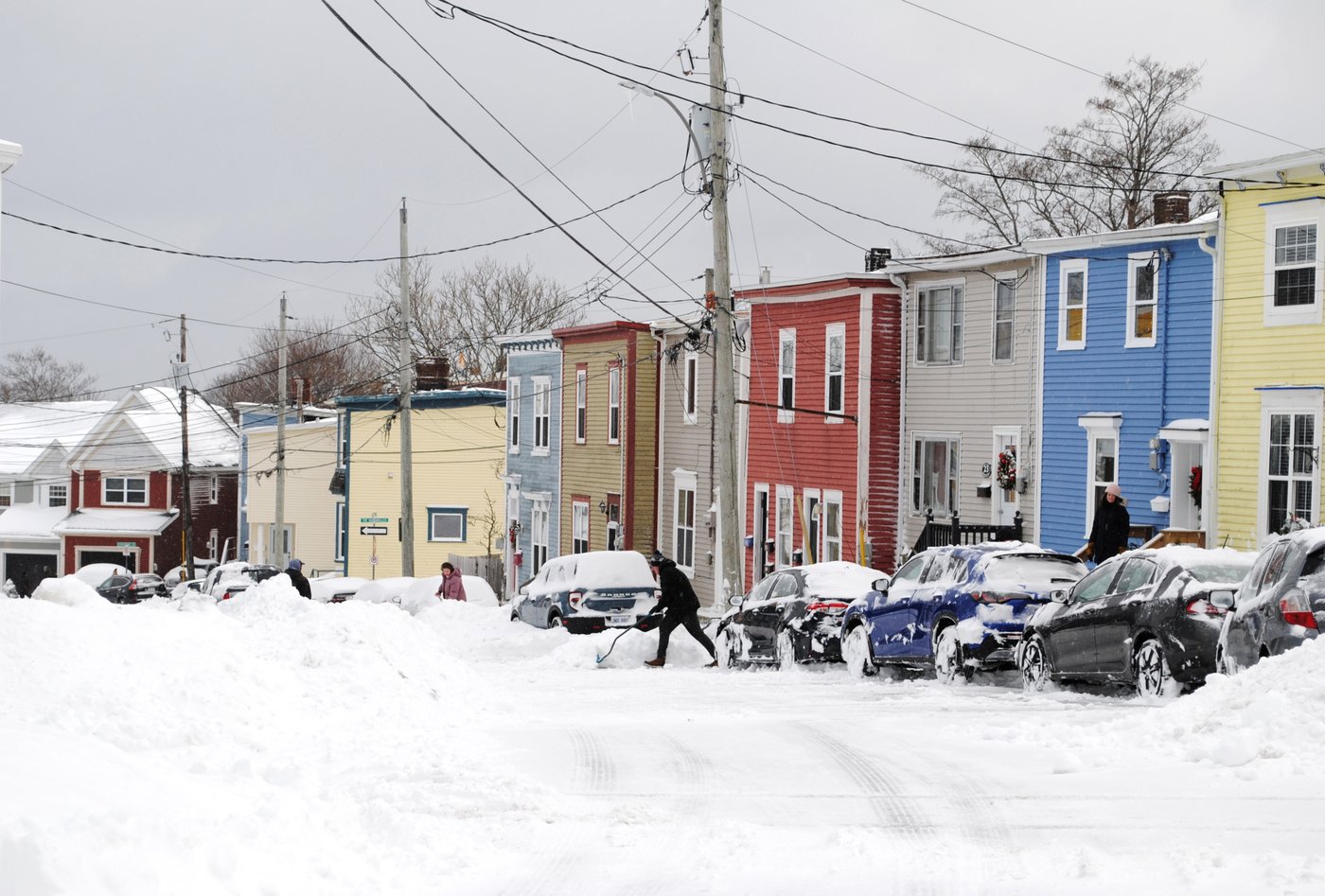 First winter storm of 2026 shuts down much of Newfoundland and Labrador ...