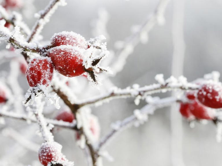 Extremwetter in der Region Innsbruck (Stadt): Achtung Kälte! So wird ...