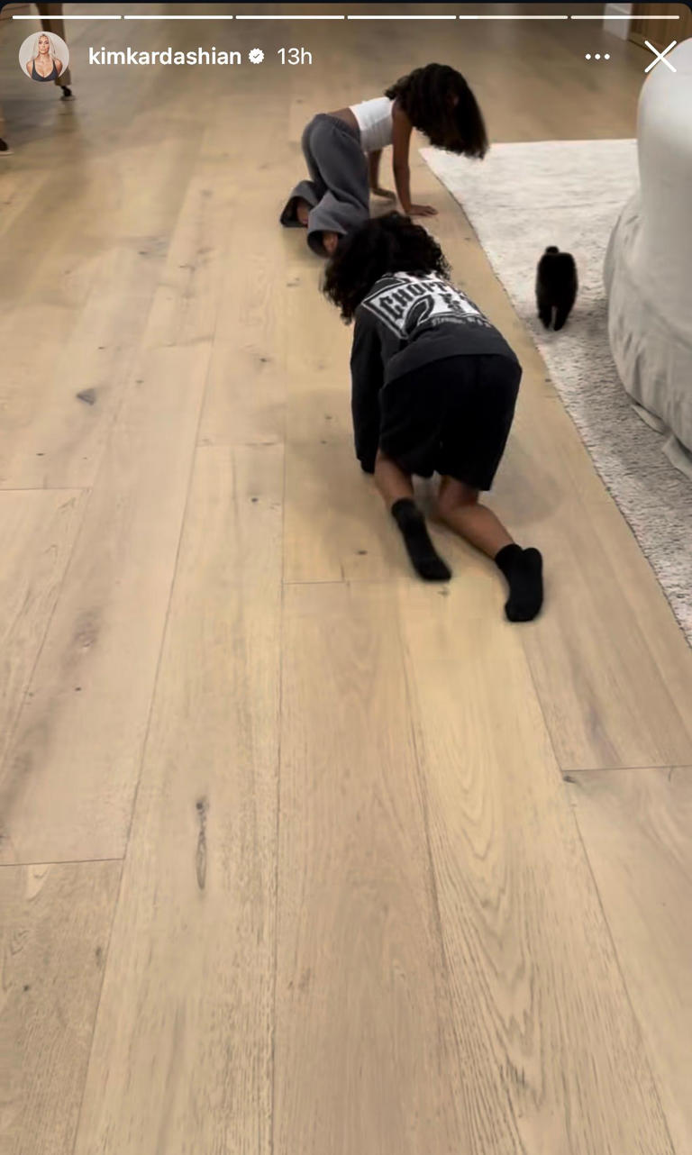 Kim Kardashian ignores PETA backlash with her kids and their puppies post