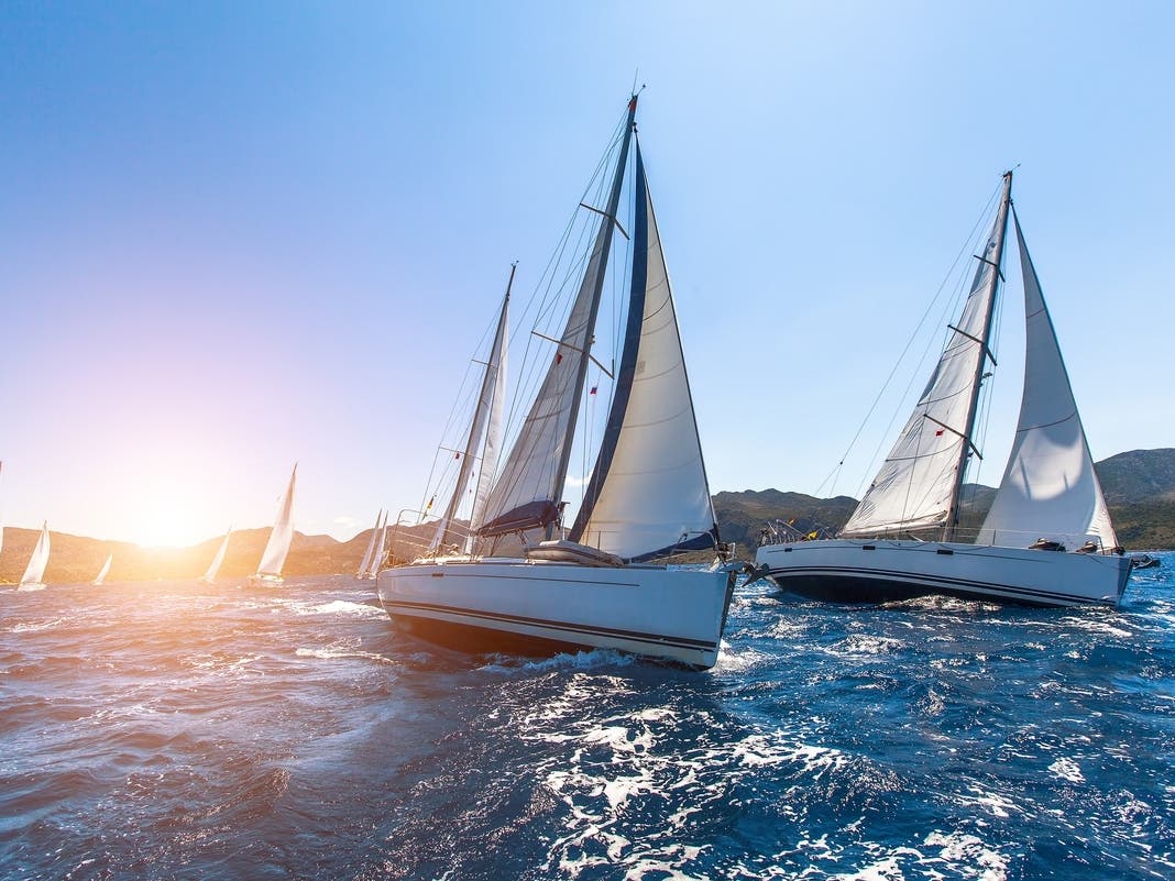 Sudden closing of beloved sailing club shakes Bay Area sailors