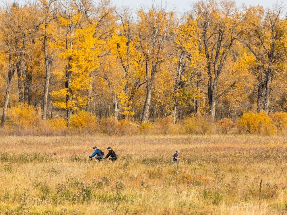 Suspect sought in Fish Creek stabbing and robbery