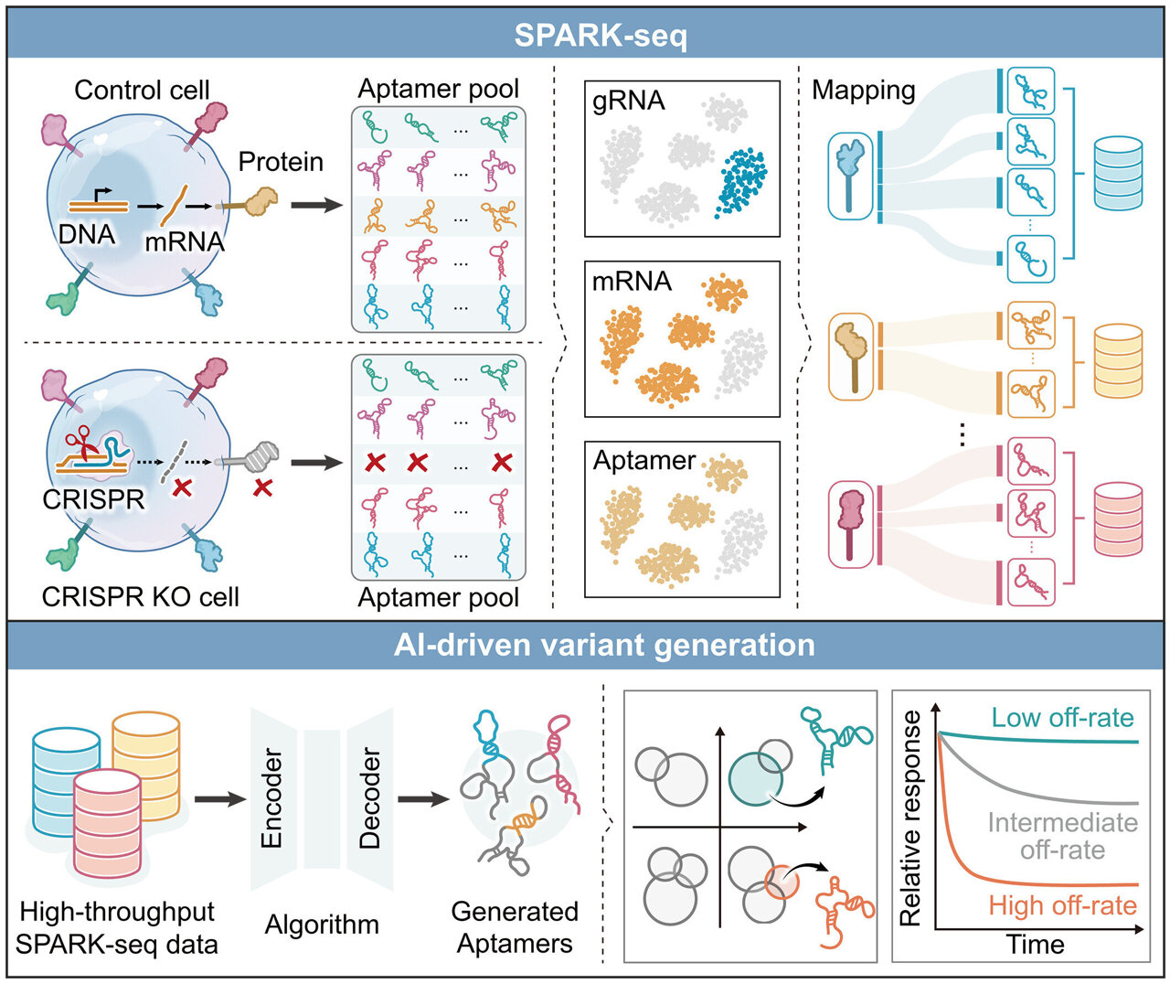 High-throughput platform enables aptamer discovery and kinetic profiling