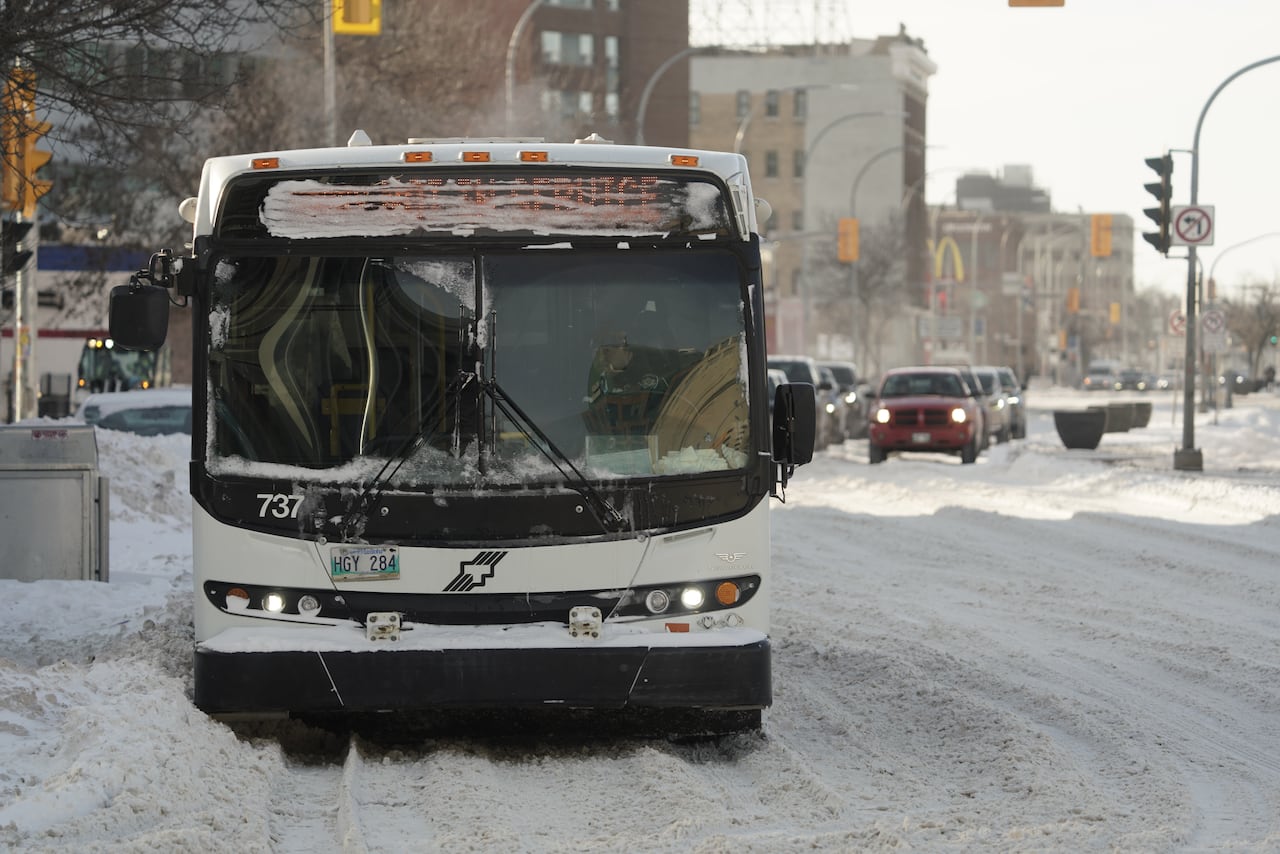 Teen charged in connection with pellet gun shooting of transit driver ...