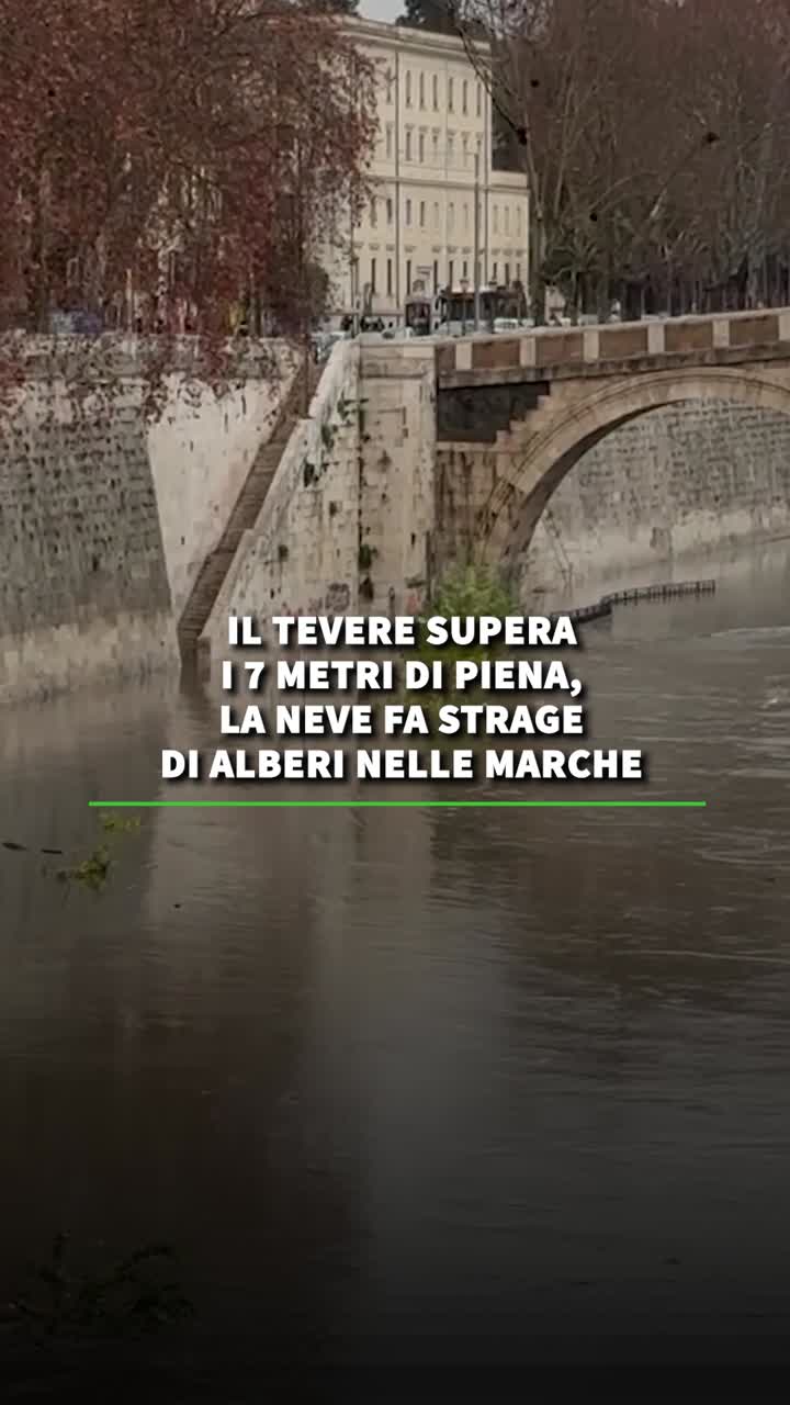 Il Tevere supera i 7 metri di piena, la neve fa strage di alberi nelle ...