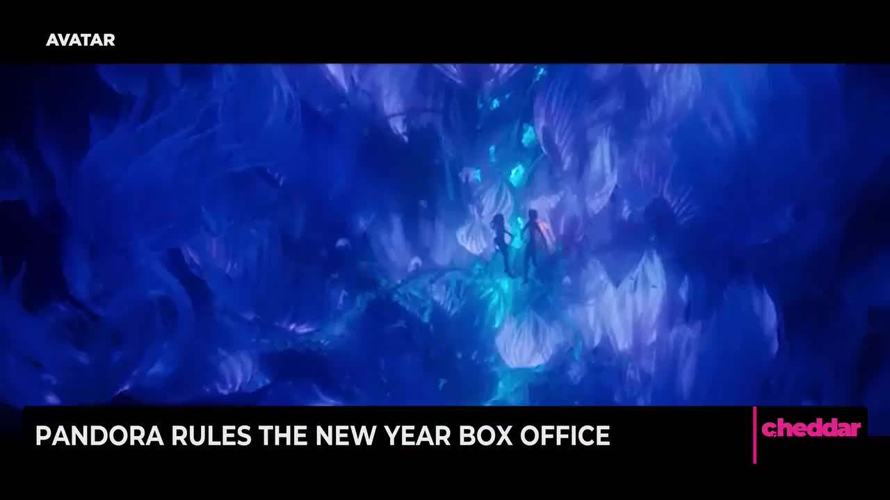 Pandora rules the new year box office