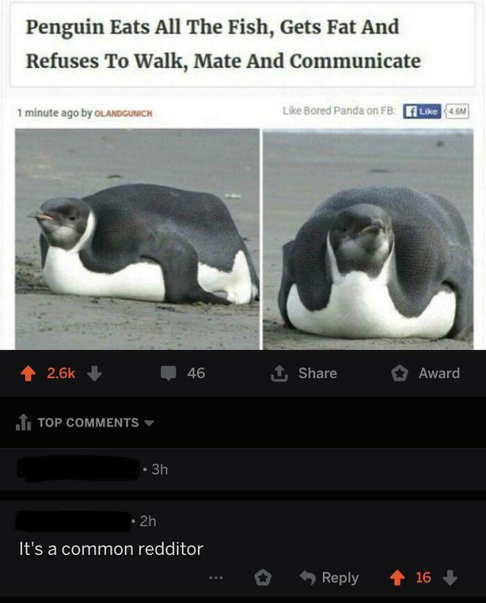 20 people who destroyed themselves to insult someone else, shared in ...