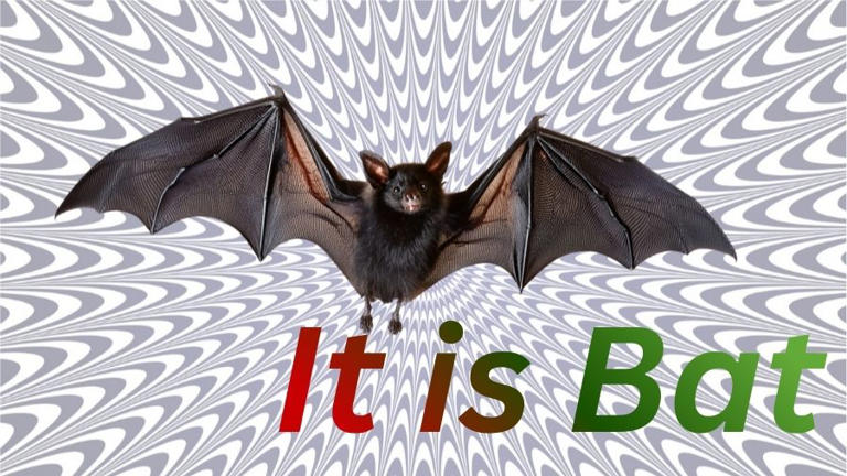 Only those who possess binocular vision can find out the hidden animal ...