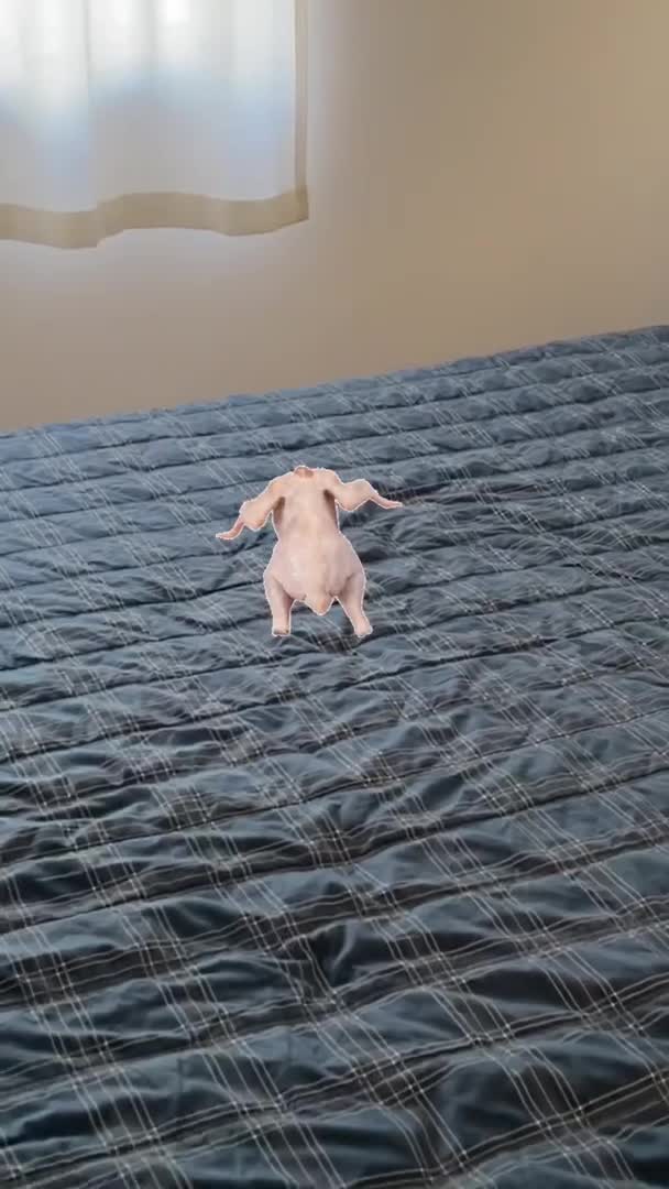 Corre que é cilada, bica