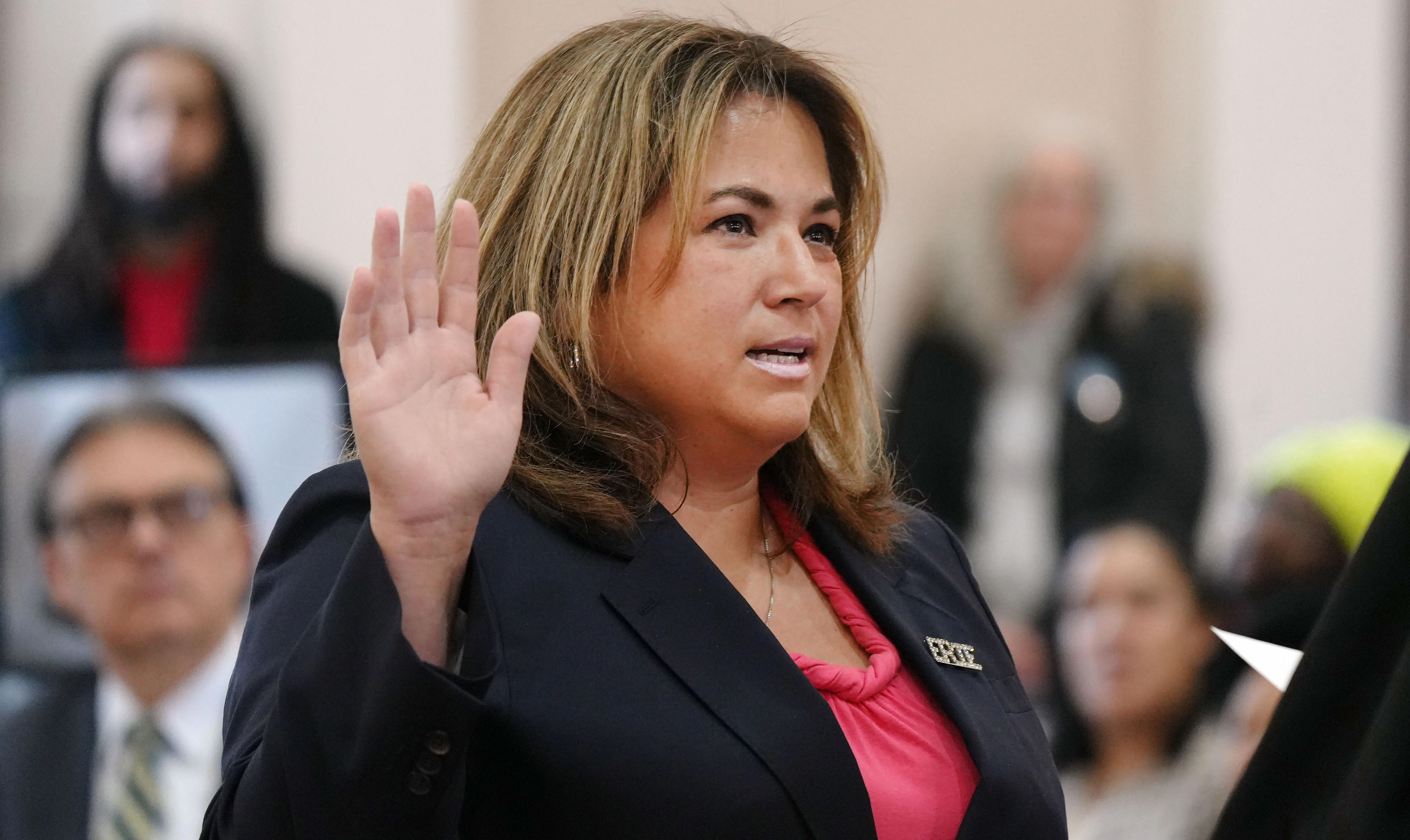 Vogel vows 'partnership over politics' as new Erie County executive