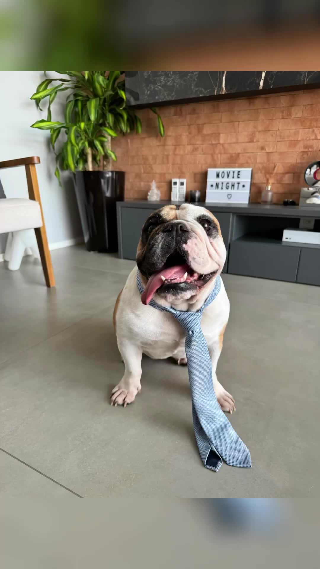 Por que seu celular não tem memória