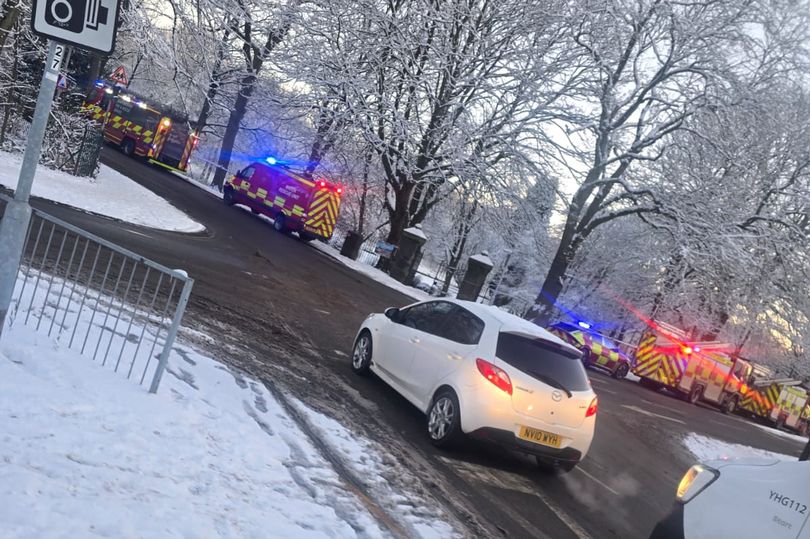 Major rescue mission as 'male falls through frozen Tunstall Park lake'