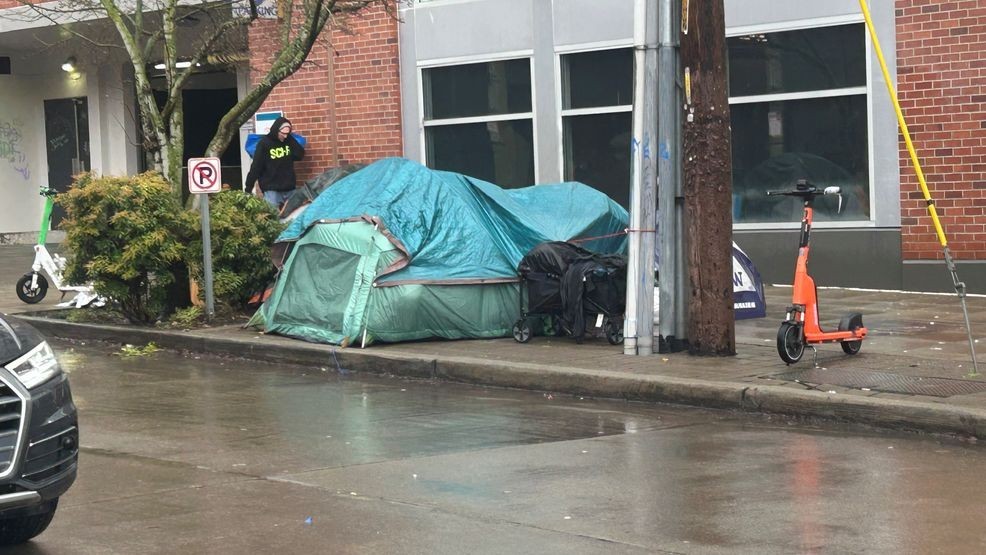 Initiative proposals to ban camping, mandate arrests, and offer drug ...