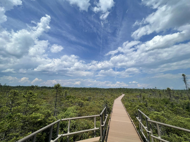 This little-known path might be the best boardwalk trail in Maine