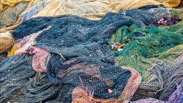 Rei do atum quebra recorde e compra peixe de 243kg por 2.8 milhões