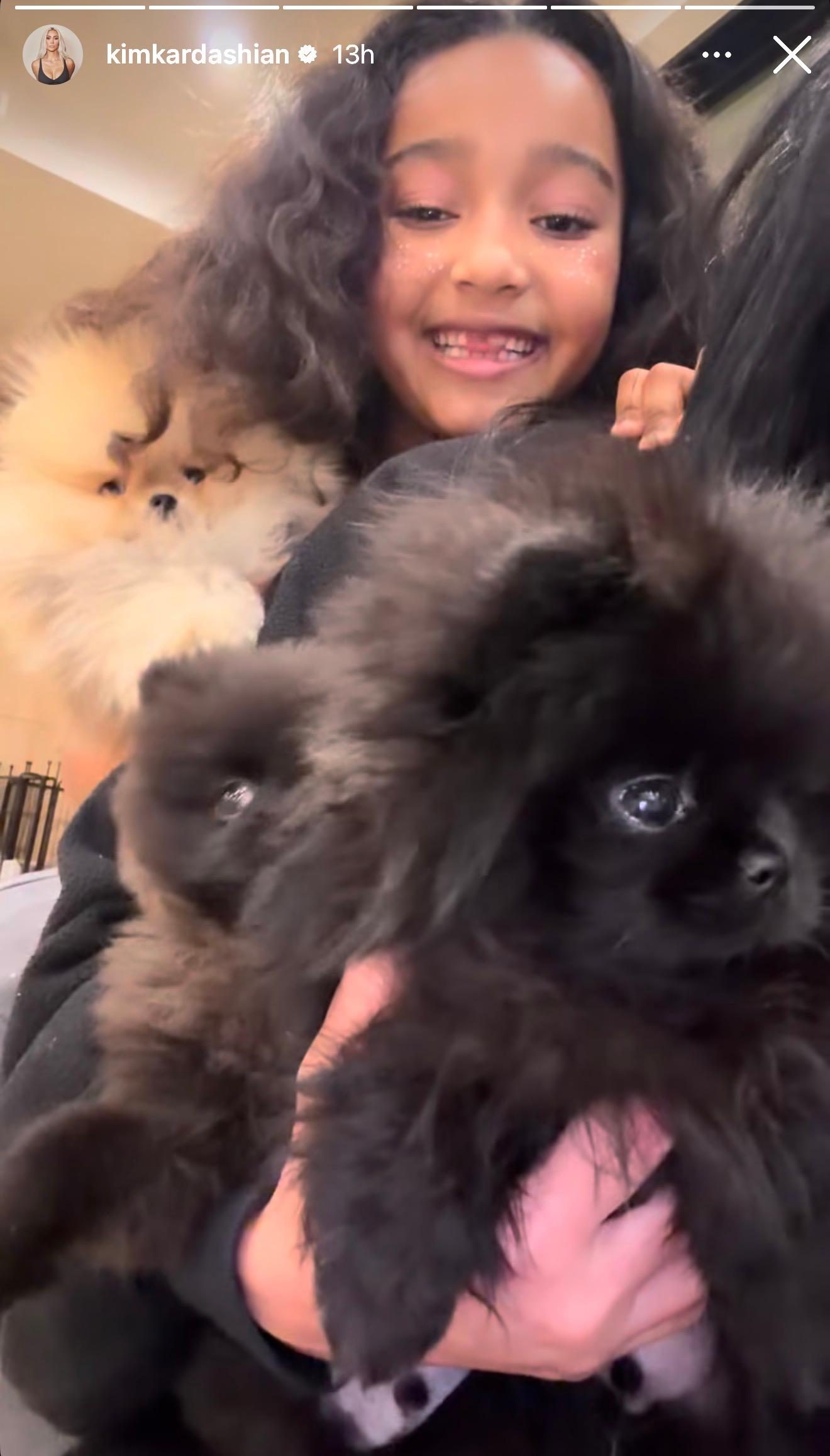 Kim Kardashian ignores PETA backlash with her kids and their puppies post