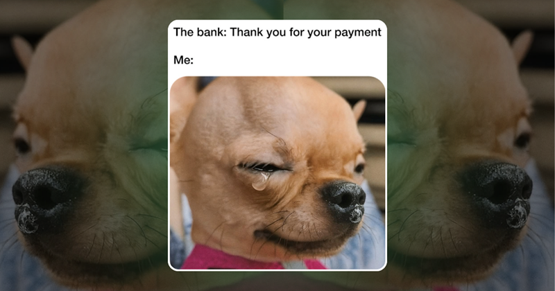 26 cash money memes for everyone who needs to be rich by next week (it ...