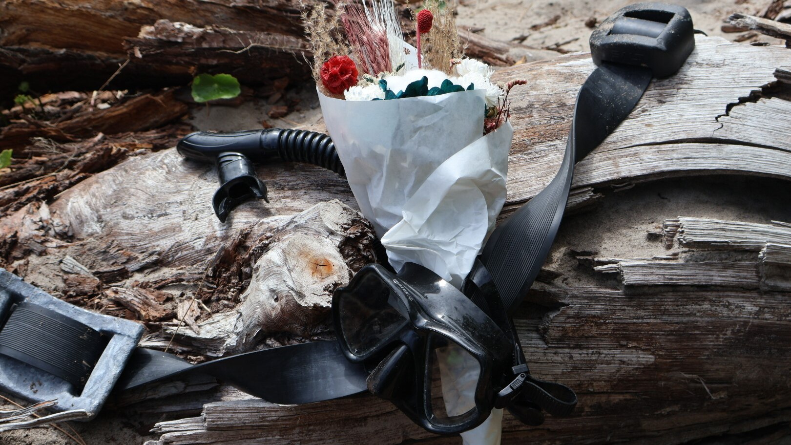 Surf lifesavers call for rethink of key safety message after multiple ...