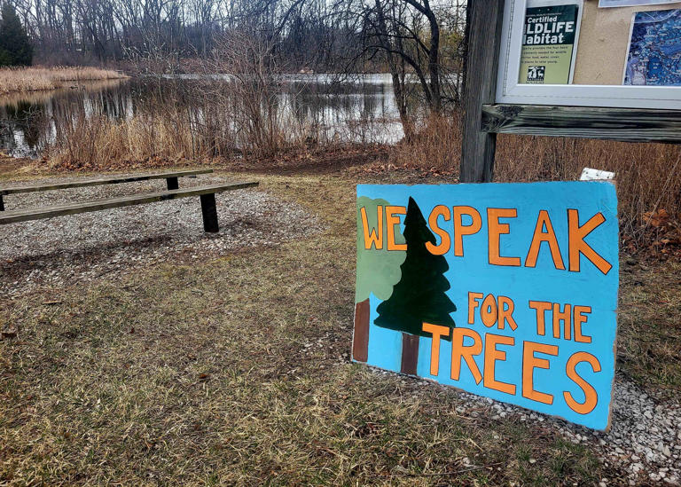 2 lawsuits tied to Ann Arbor school construction roll on into 2026