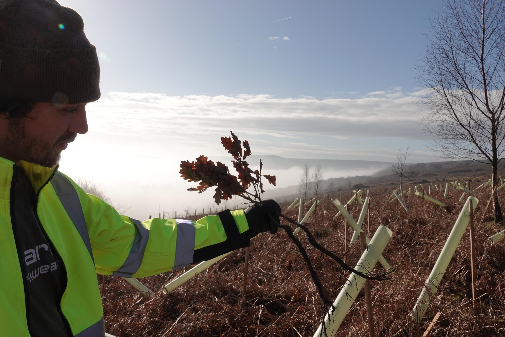 National Trust Peak District wildlife report finds climate extremes ...