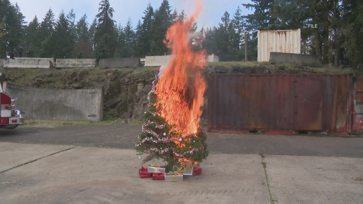 More than one-third of Christmas tree fires occur in January, says ...