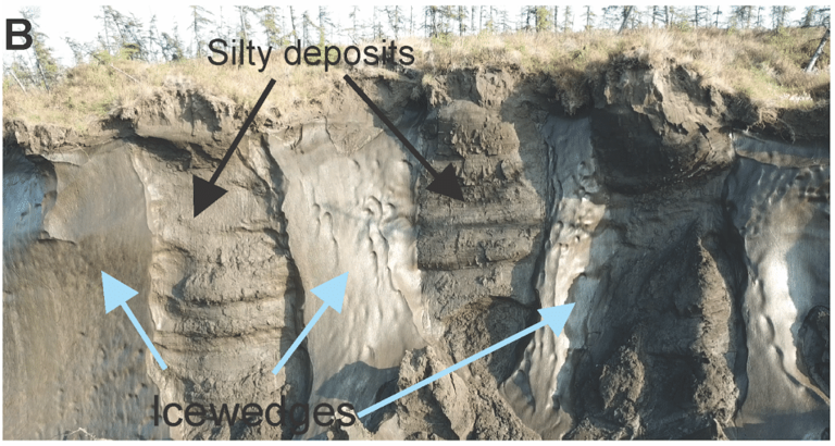 After 46,000 years in deep freeze, this creature came back to life and ...