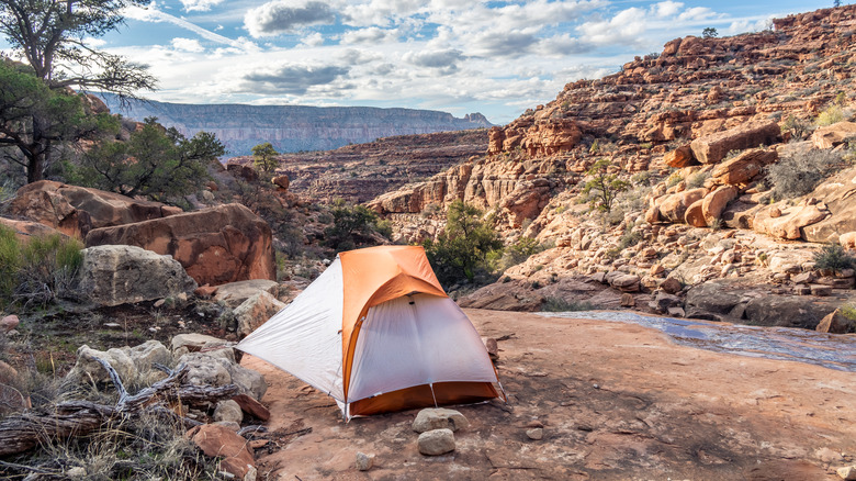 The 5 best places to camp in Arizona's state and national parks
