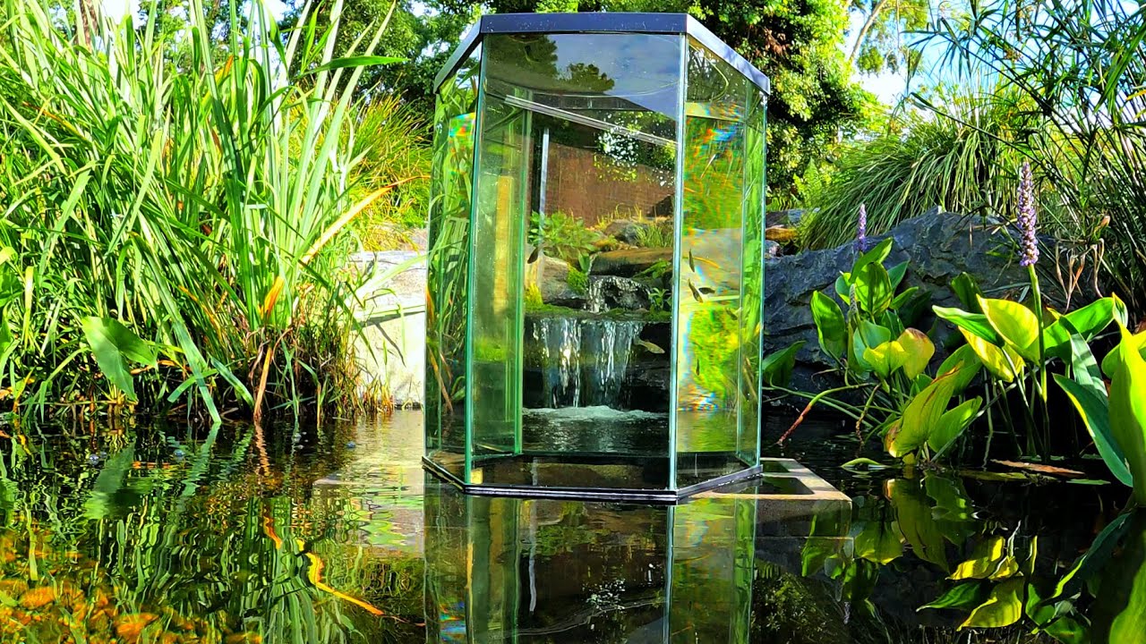 I built an inverted aquarium!🐟