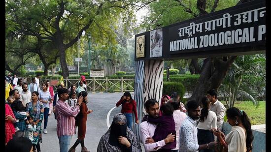 Delhi zoo: Report links antelope deaths to rat poison