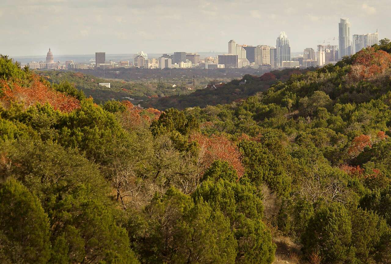 Cedar pollen falls from weekend peak; expect high levels in Austin all week