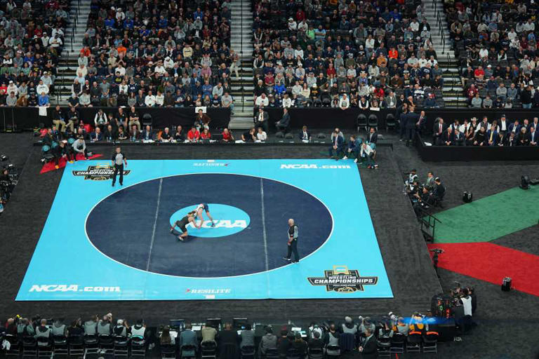 Youth wrestling YouTuber sues Iowa woman over her online comments