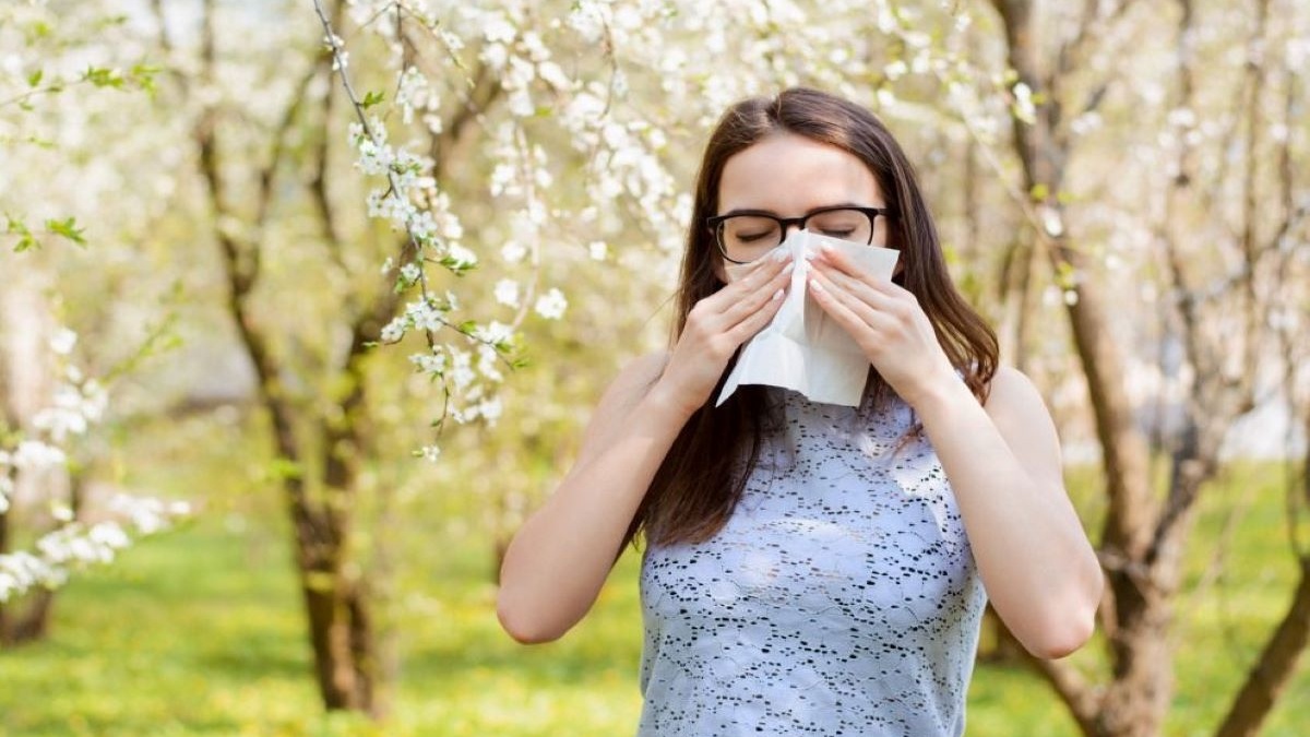 9 diferencias clave para distinguir entre alergia, resfriado y sinusitis